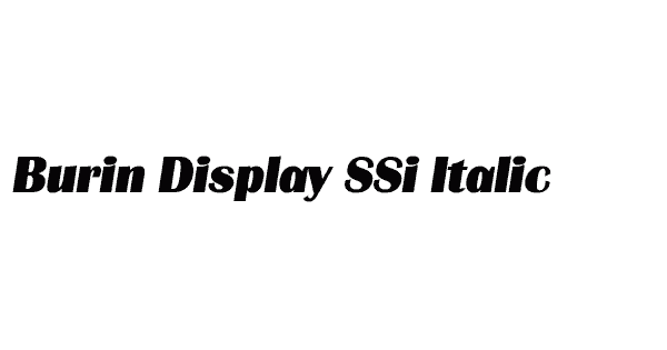 Burin Display SSi Italic